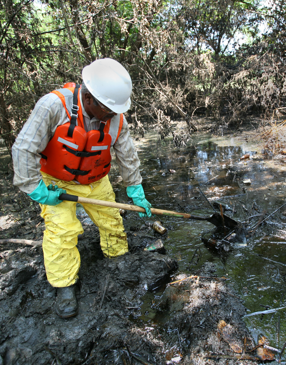 Methods | bioremediation