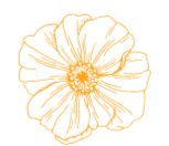 Western Inspired Decor | Poppy Ranch Boutique