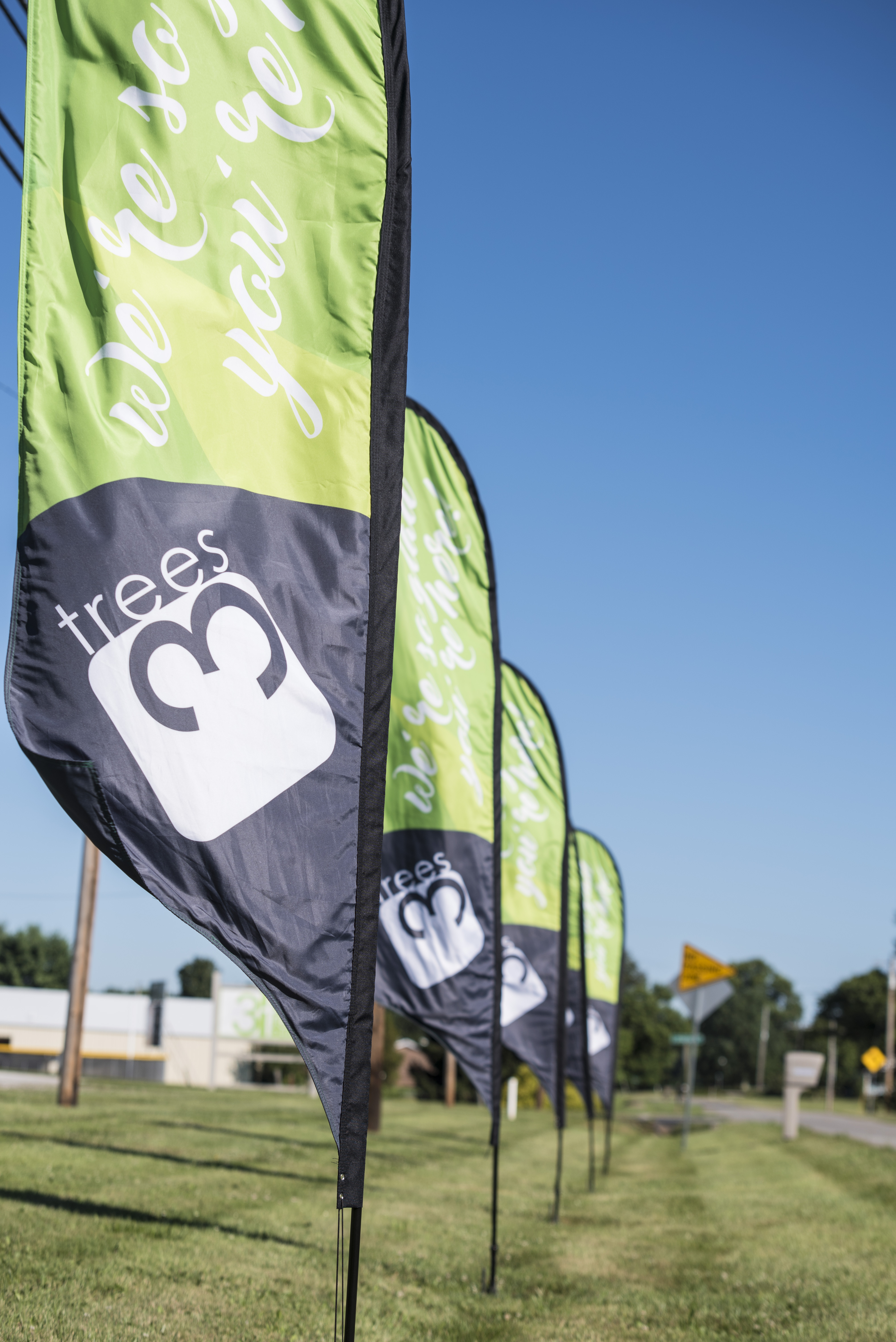 3trees Church | Welcome