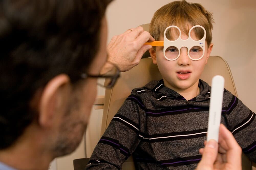 The Eyes Have It: How Vision Shapes Developmental Milestones