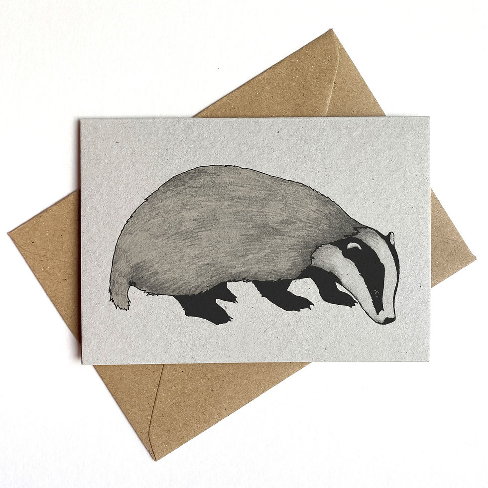 Badger gifts at the Brock Shop | Badger Trust