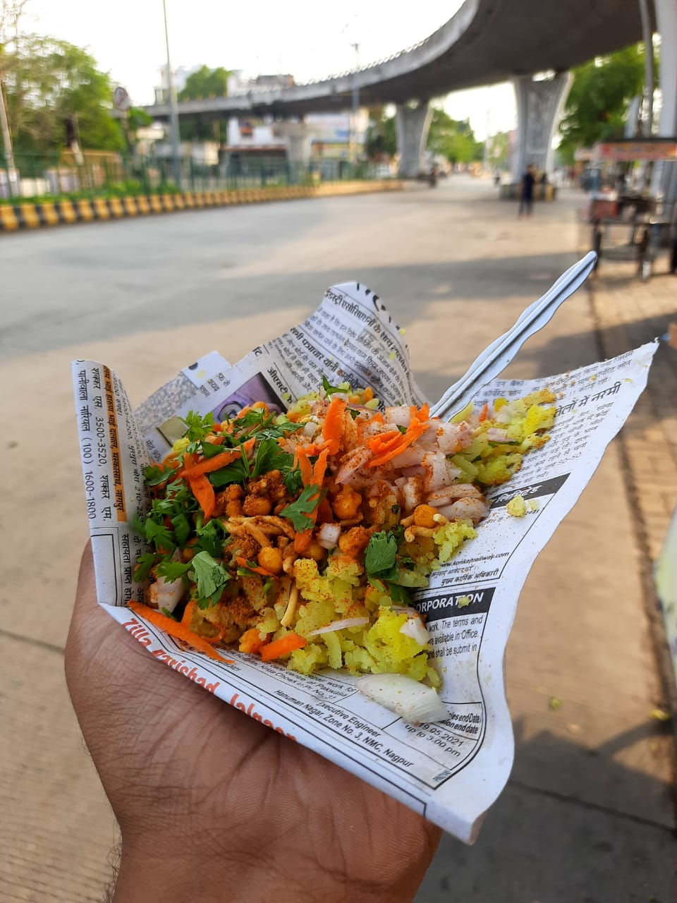 Exploring the Best of Amravati's Famous Street Food Scene