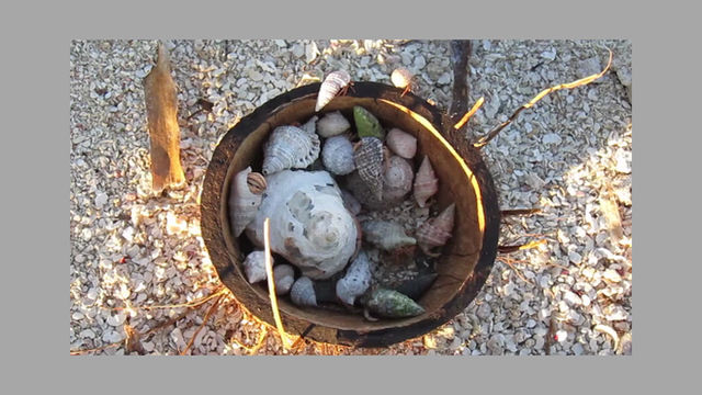 Coaching for Change: Unleash Your Potential with Sarah Gledhill