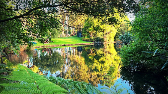 Garden In Christchurch | Willow Springs | Christchurch