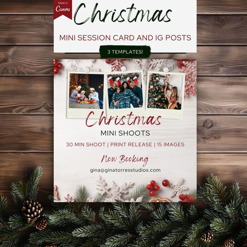 Photography Christmas Mini Session Flyer Template for Canva | Damaris ...
