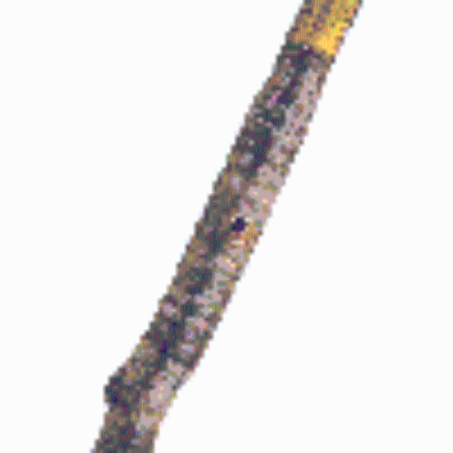 JUR 630 | Sofraicome