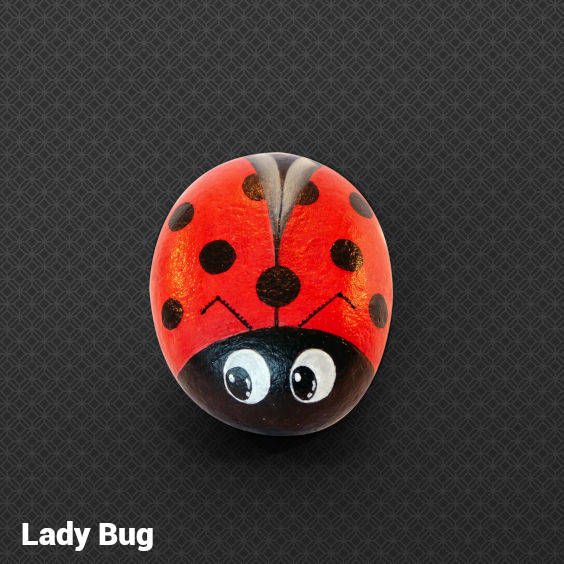 lady-bug-insect-pot-plant-pets-kit