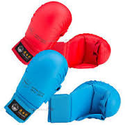 Tokaido Hand Pads - WKF approved | jks-scotland