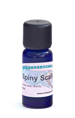 SE 20. Spiny Scallop | Master-Frequency