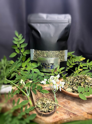 WILD CRAFTED MORINGA | YNZROOTS