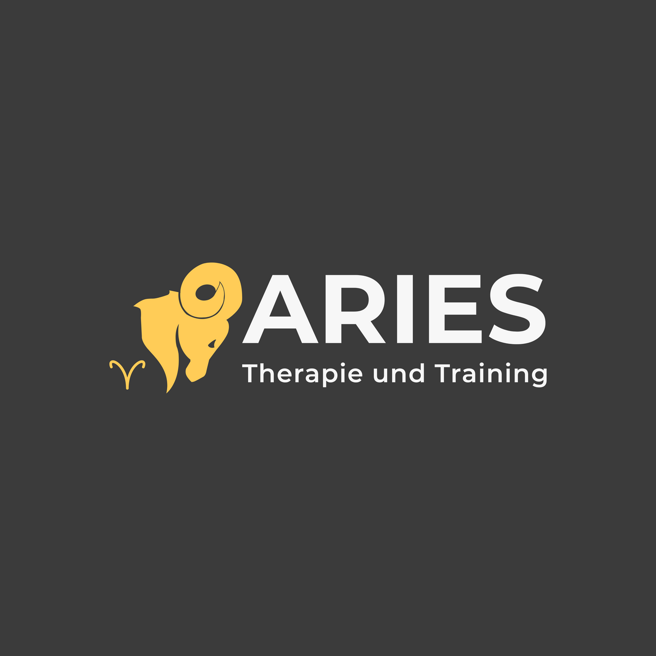 Physiotherapie | Aries - Therapie und Training | Hannover