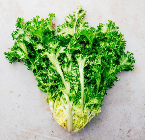 Lechuga freeze | hortalizaschu.com