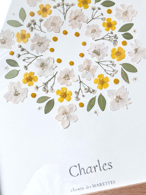 Chemin des Marettes, HERBIER SUR MESURE | Studio Marettes