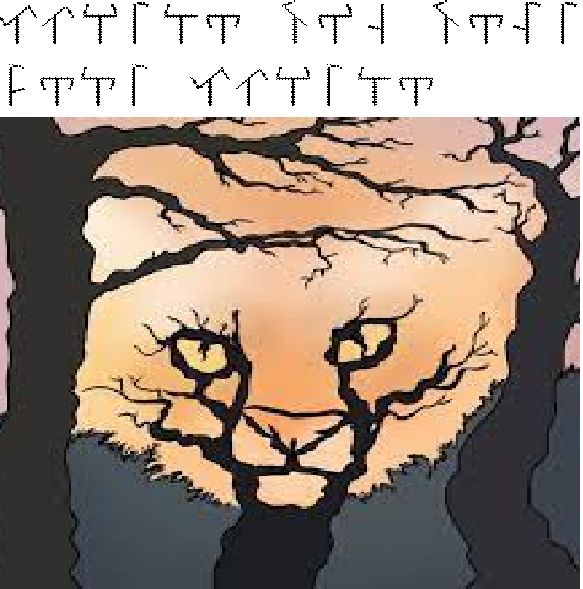 Accueil | Illusion 14 B