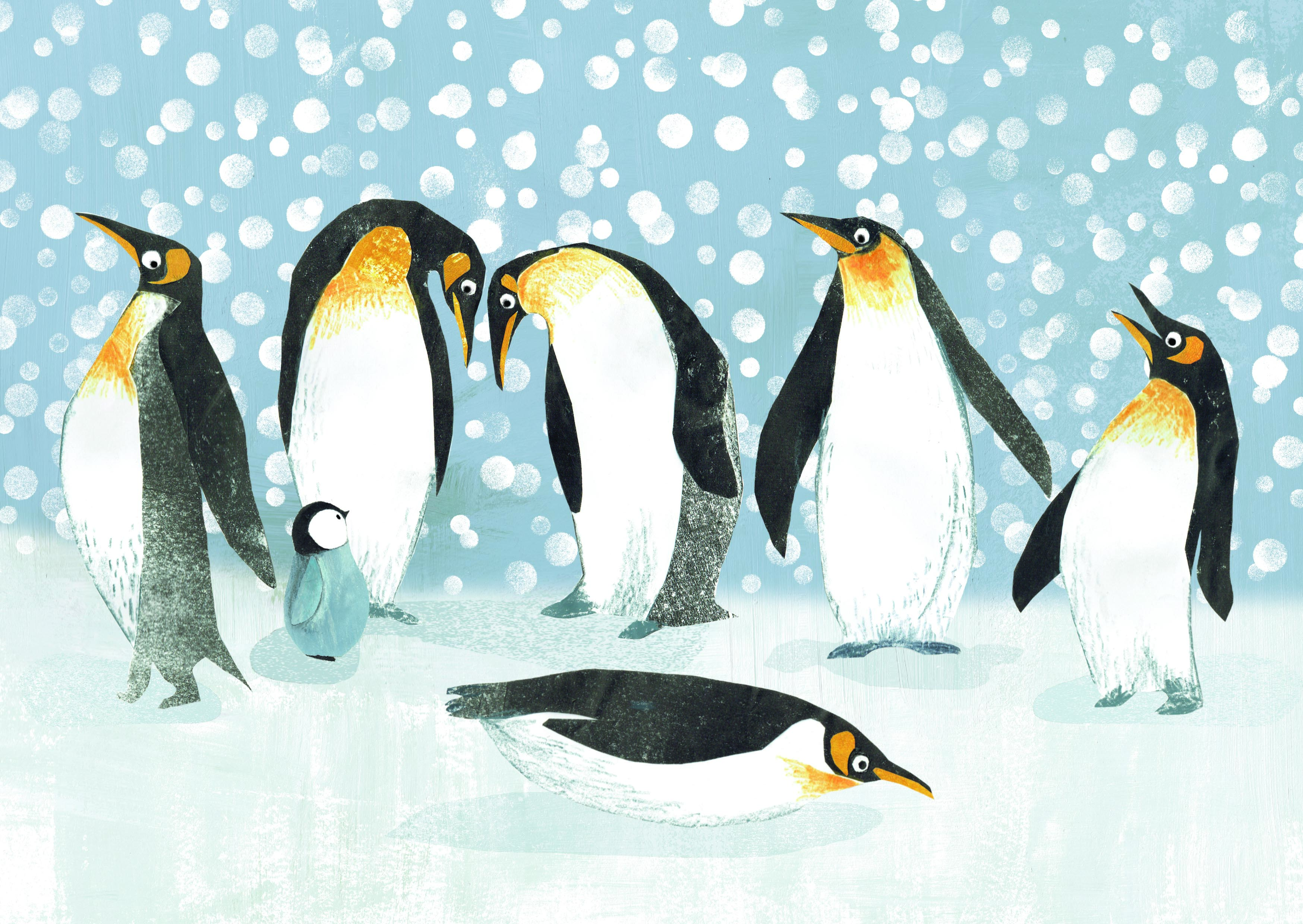 Gallery | Kate Read Illustration