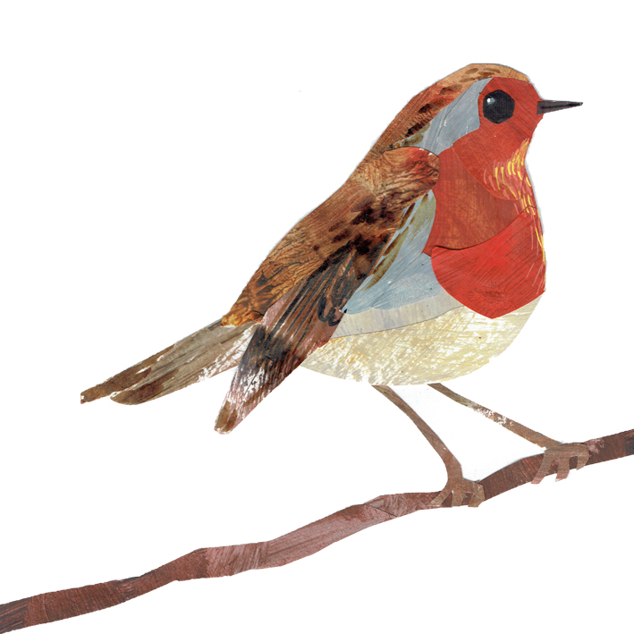 Gallery | Kate Read Illustration