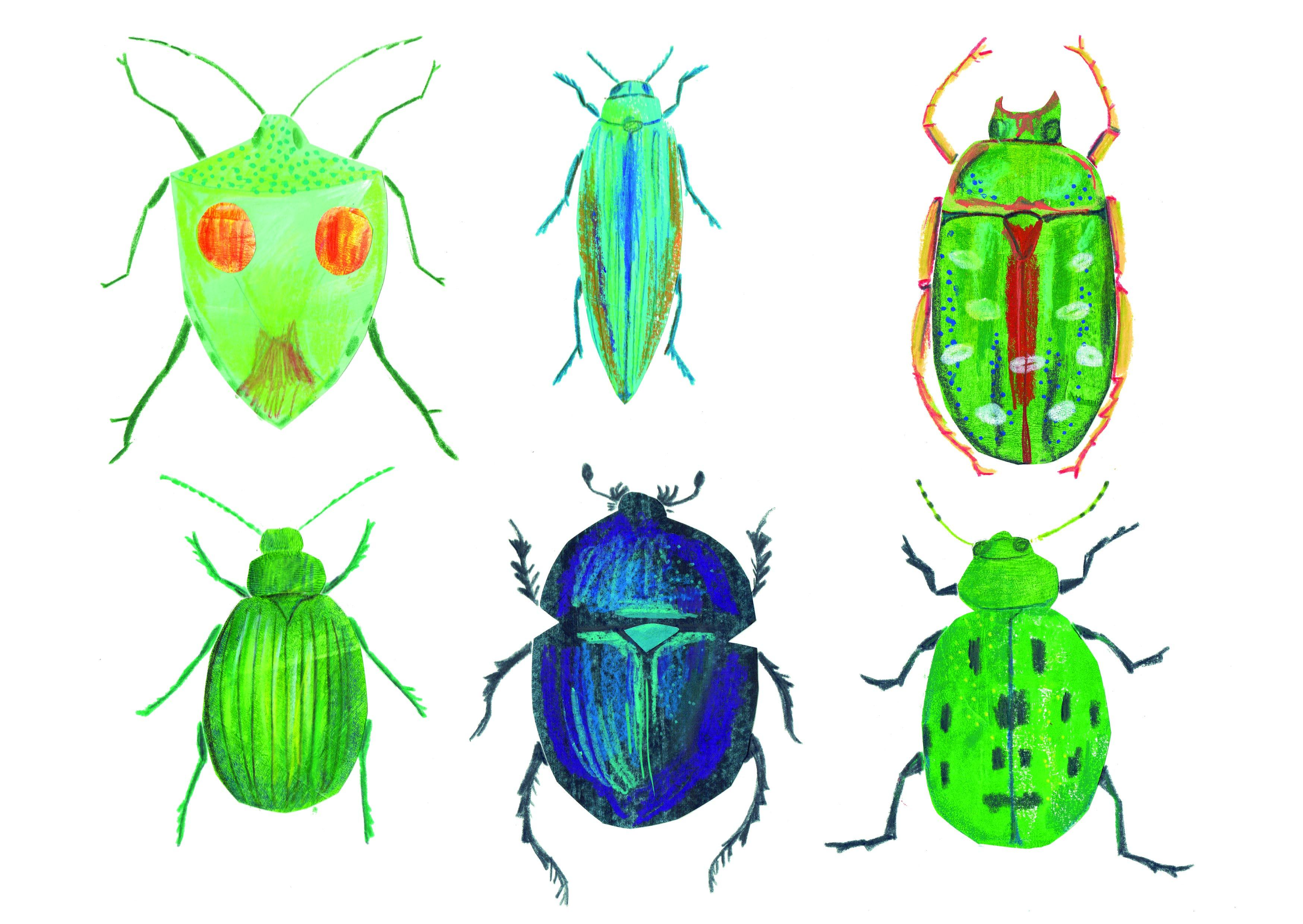 Gallery | Kate Read Illustration