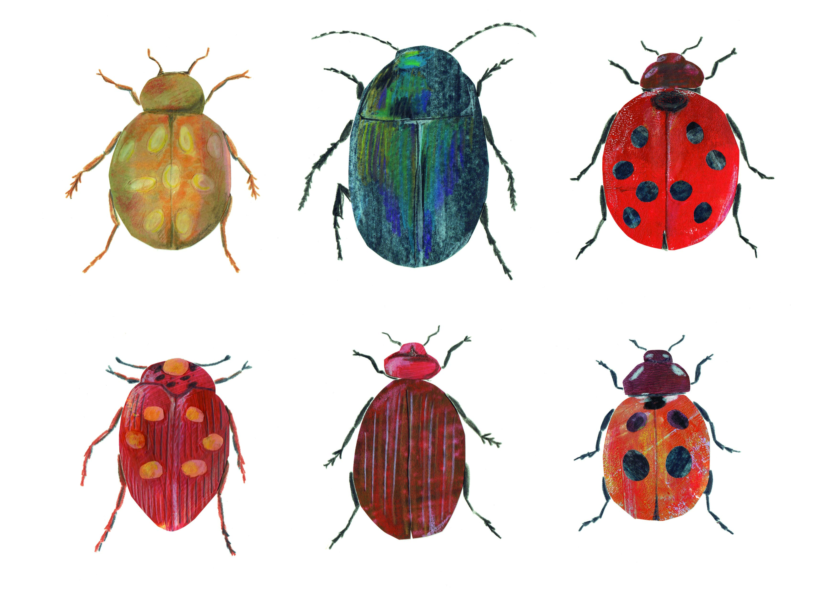 Gallery | Kate Read Illustration