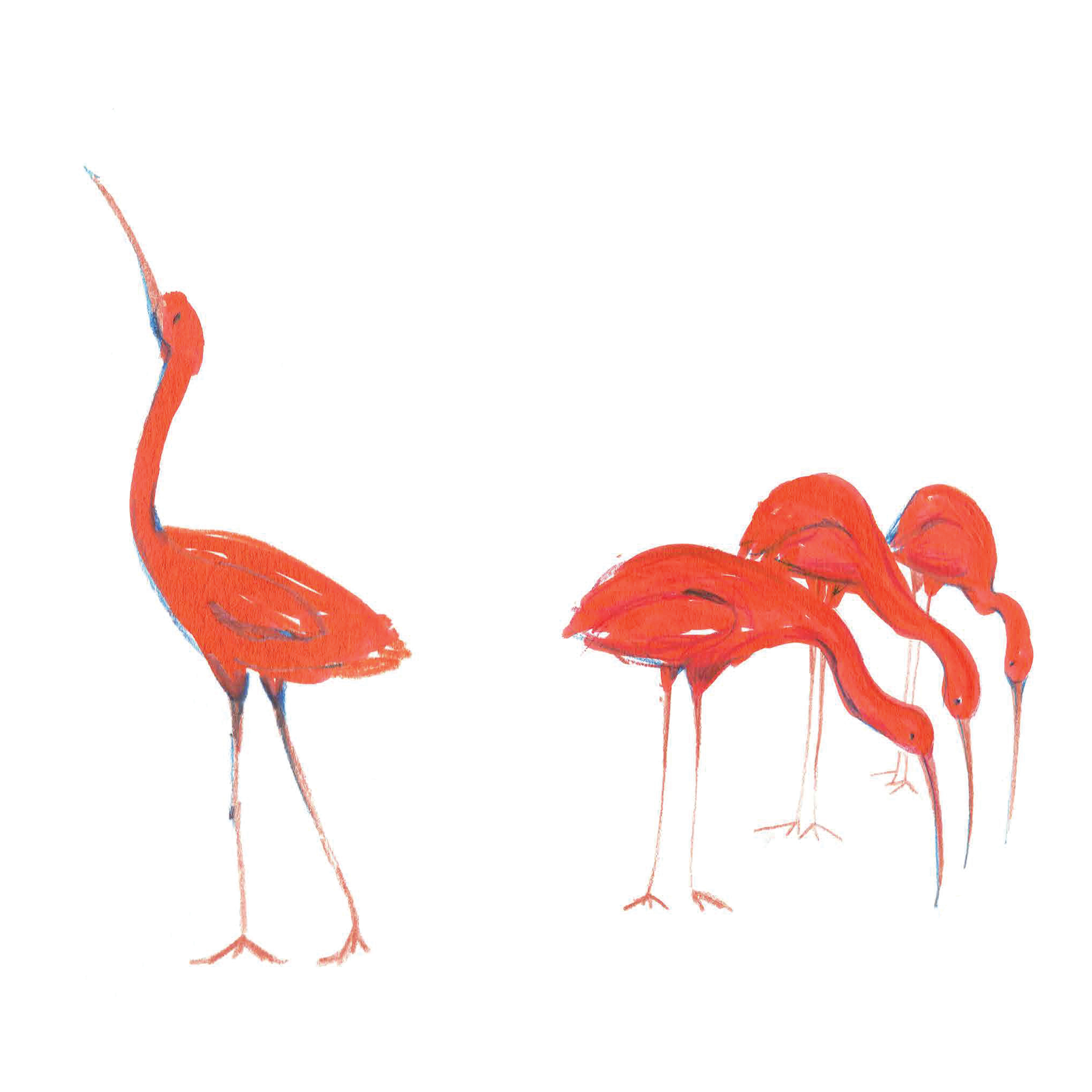 Gallery | Kate Read Illustration