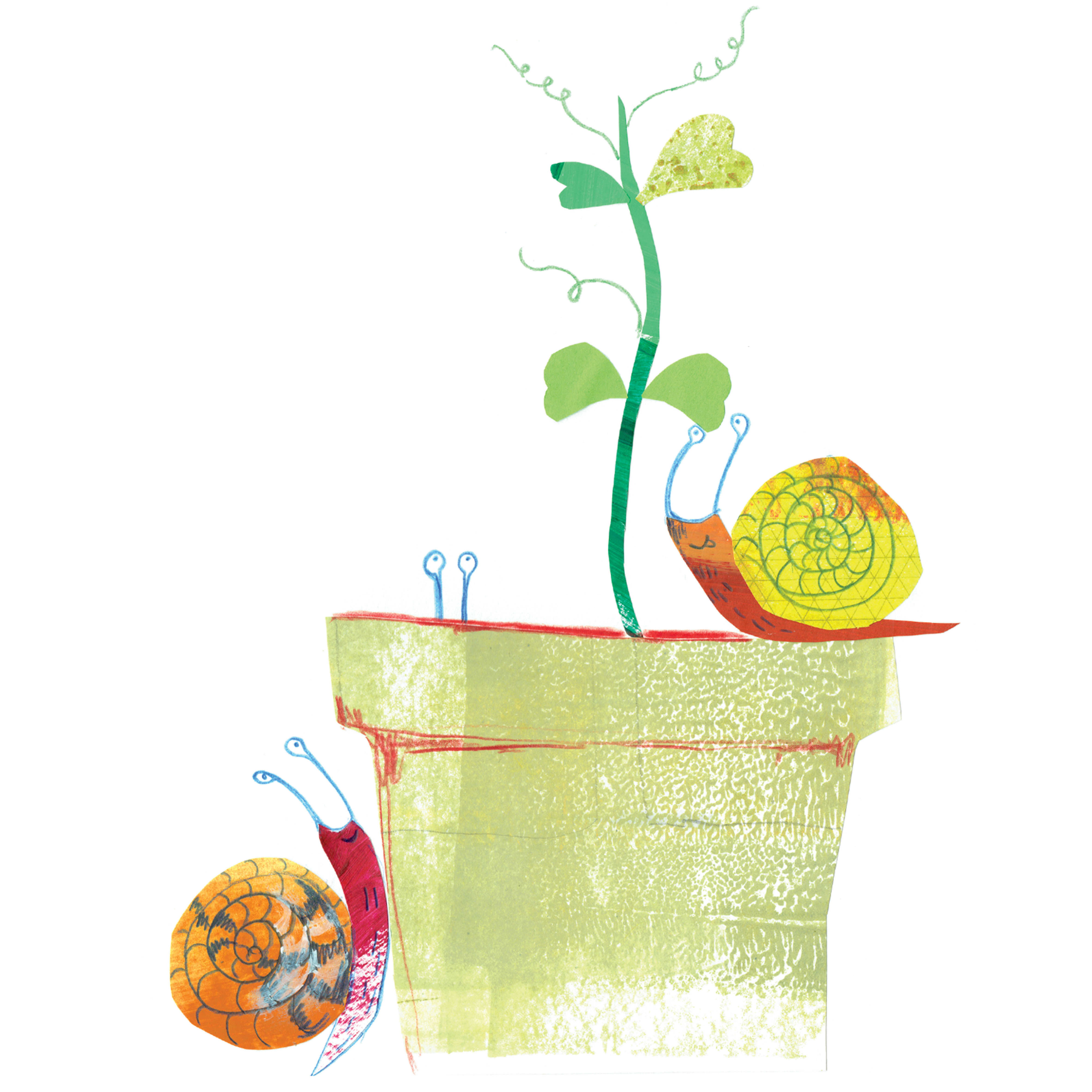 Gallery | Kate Read Illustration