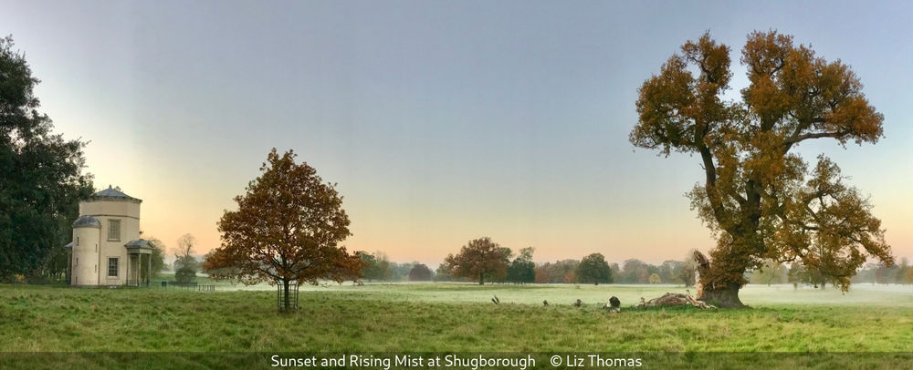 Club Business | Lichfield CC Copy 1