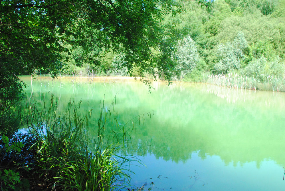 Divers Cove, Godstone