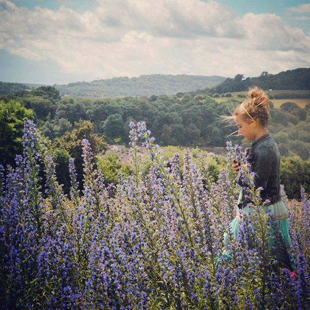 Ranscombe Farm Reserve