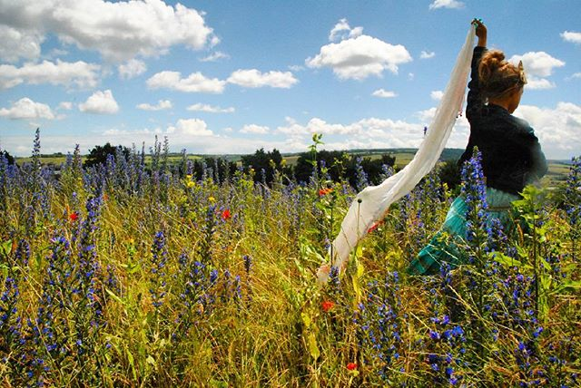 Ranscombe Farm Reserve