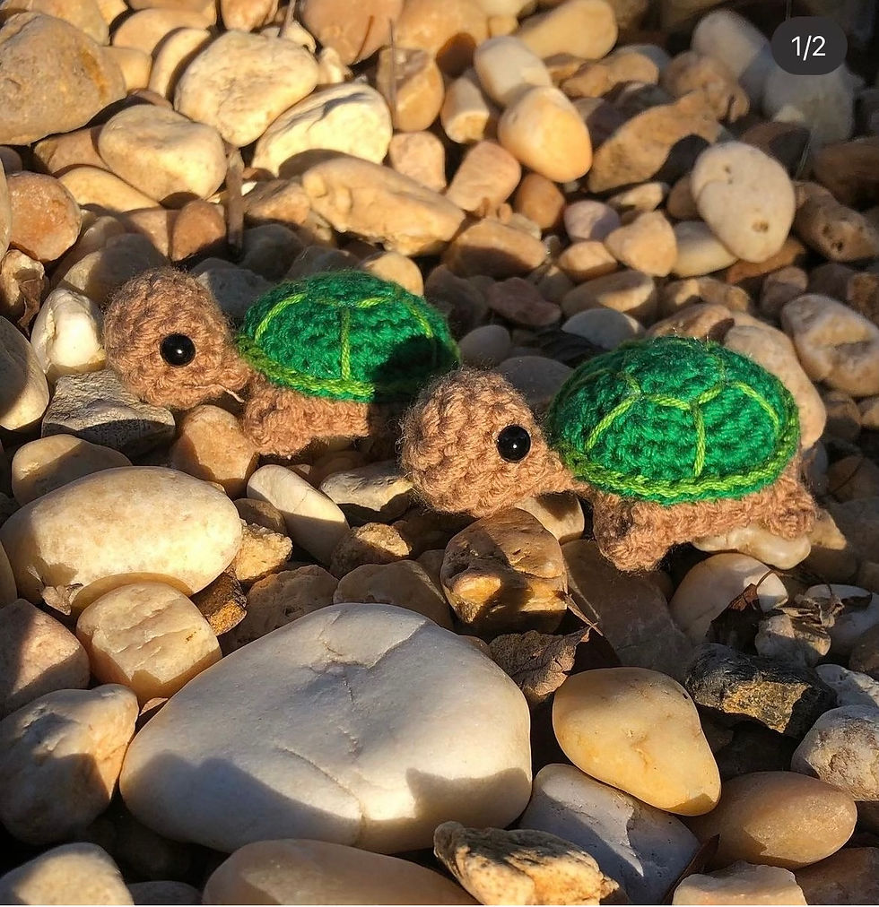 Crochet Sea-Life | Onemagnificentmouse