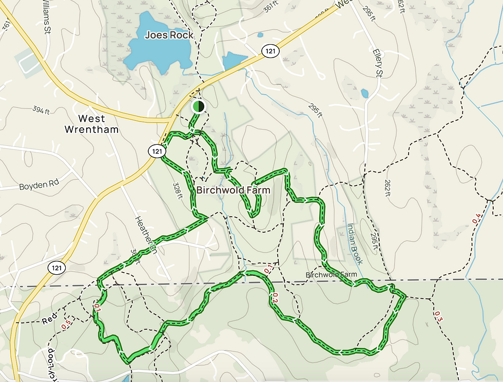 The 5 Best Trail Runs in Wrentham