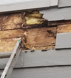 Photos of Our Highly Rated Standard Exterior Repairs