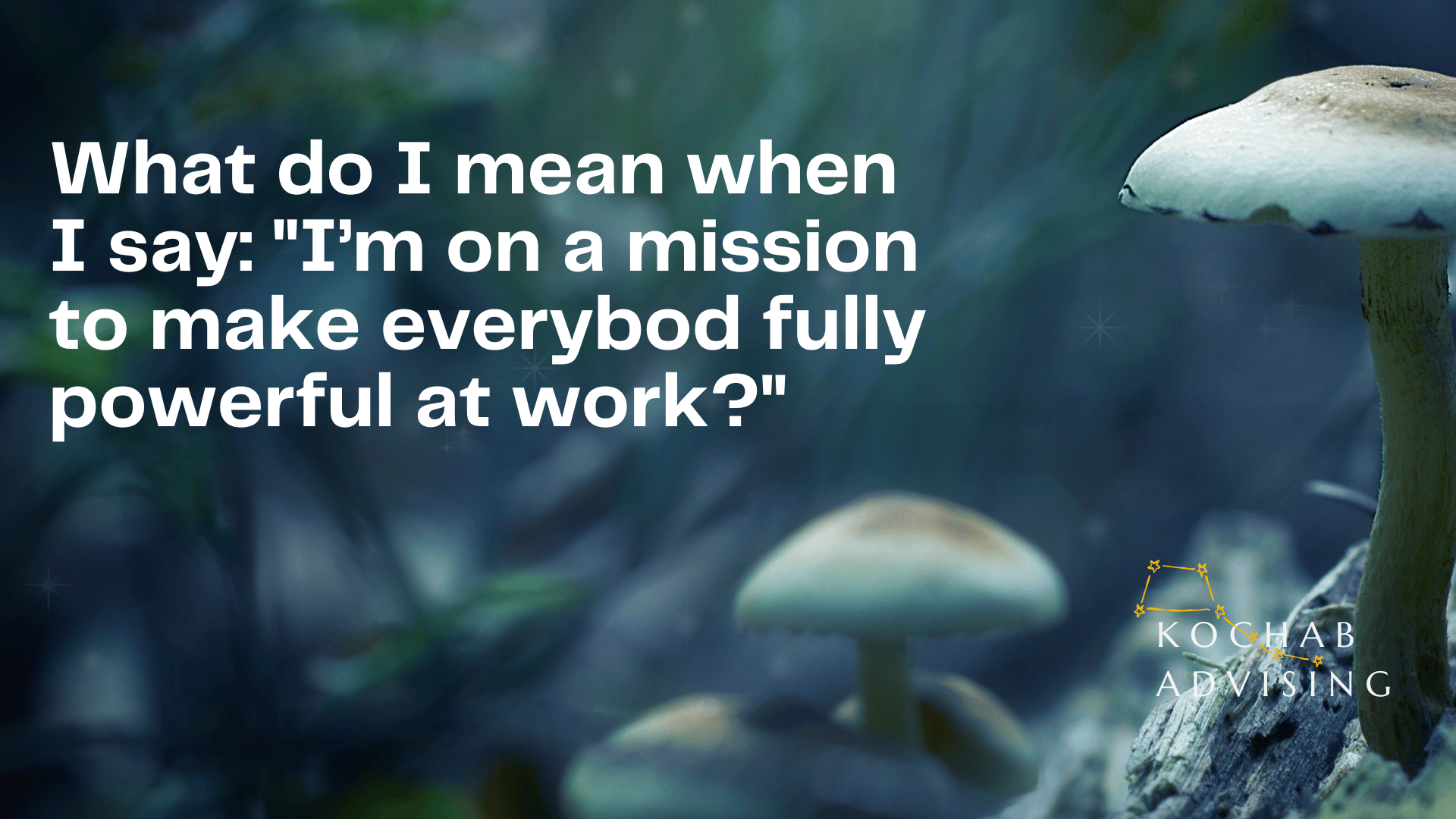 I’m on a mission to make everybody fully powerful at work.