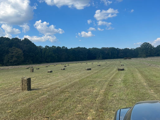 Blog | Smooth Moves Ranch