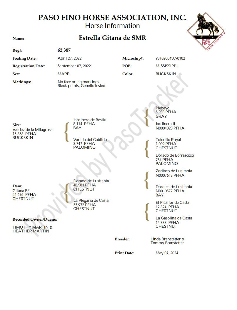 Available Horses | Smooth Moves Ranch