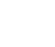 Sarah Compter | SYNACT