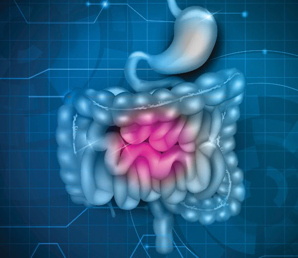 Why All Disease Begins in the Gut