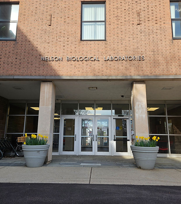 Contact | O'Brown Lab