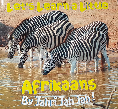 Let's Learn a Little Afrikaans | Kiwi Kids Books