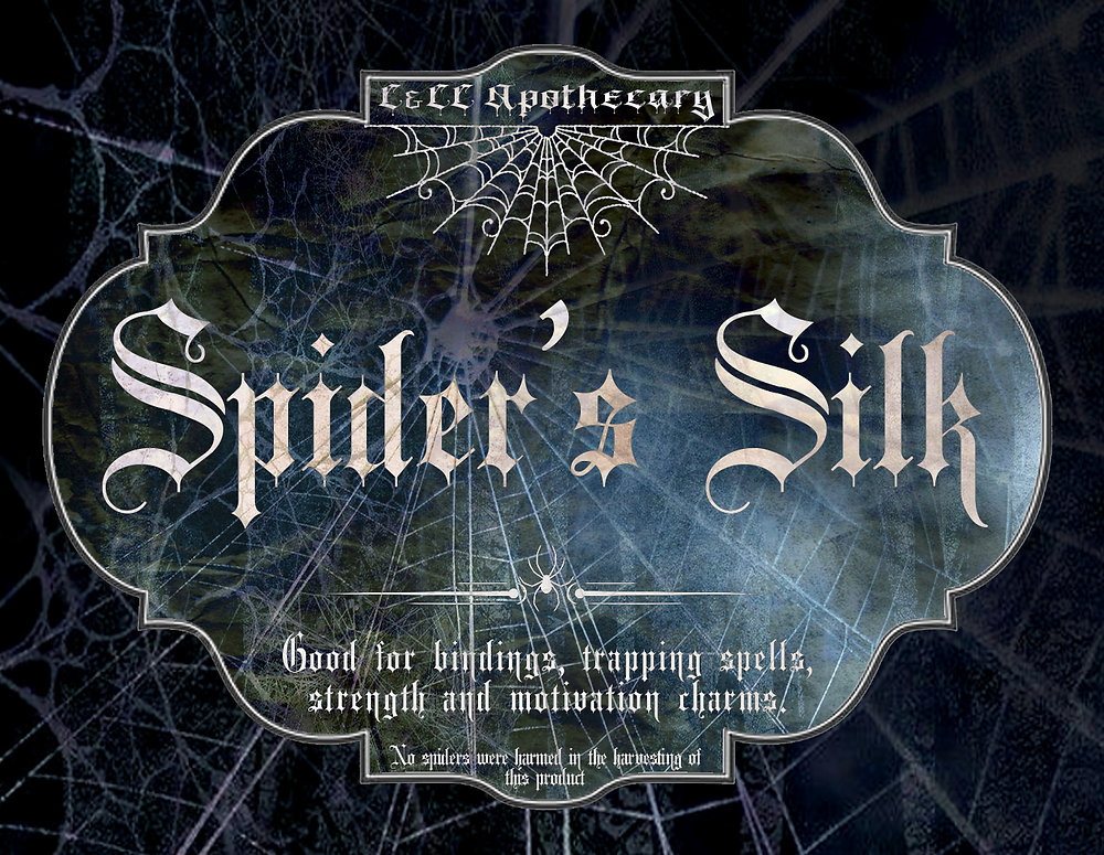 Spider's Silk