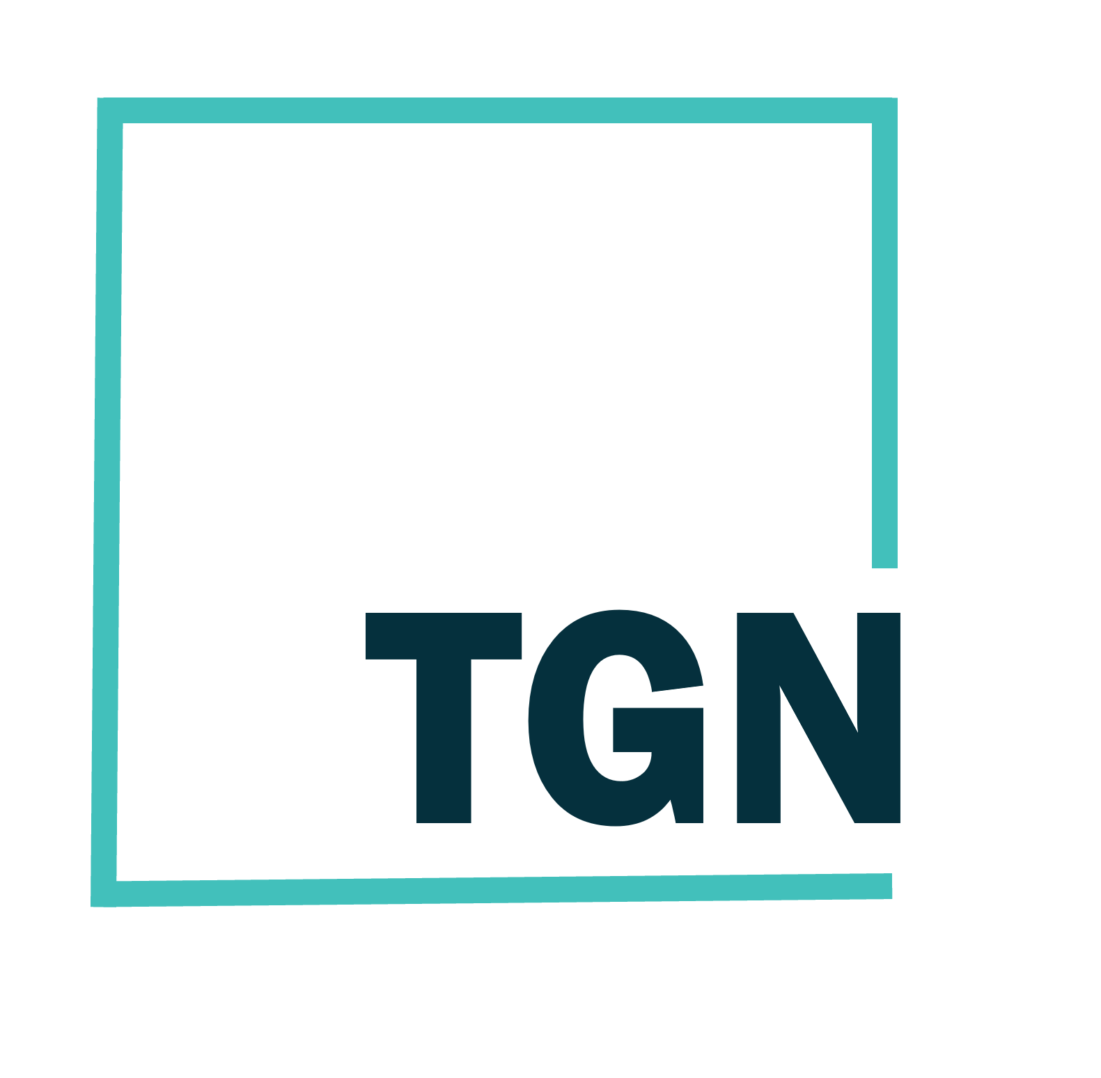 Tgn Network Logo