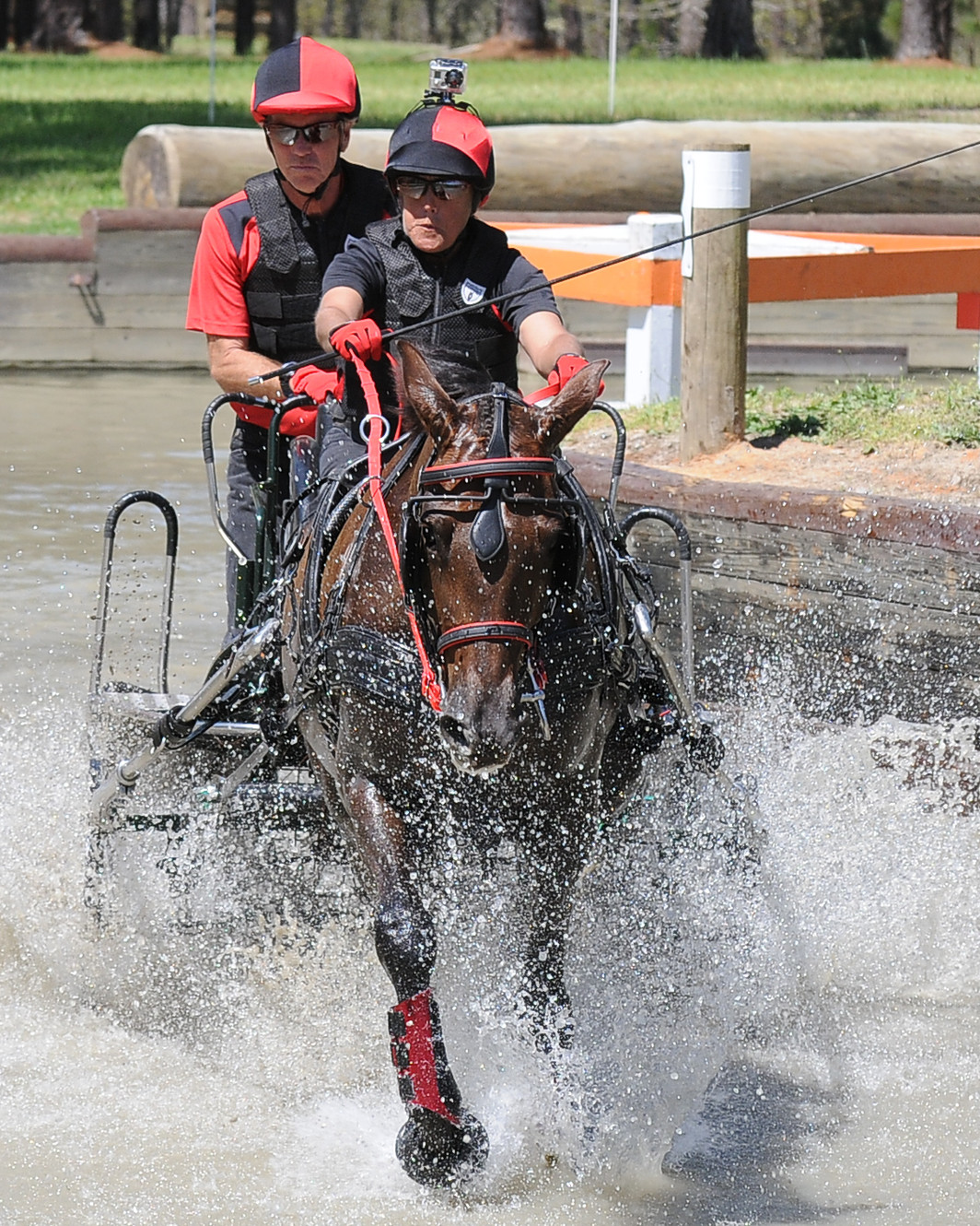 In memory of Ruby Tuesday