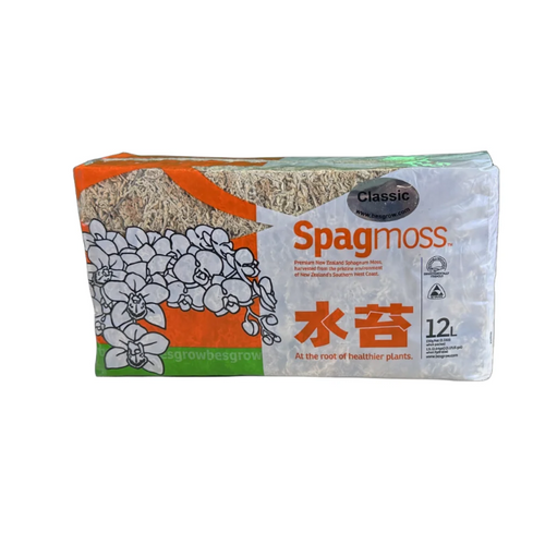 Naujosios Zelandijos kiminai (Besgrow Spagmoss) | Leaf place