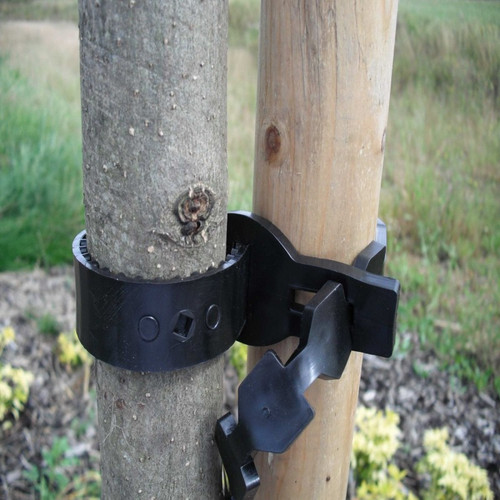 Planting Kit - Tree Stake & Tie | Bowhayes Trees