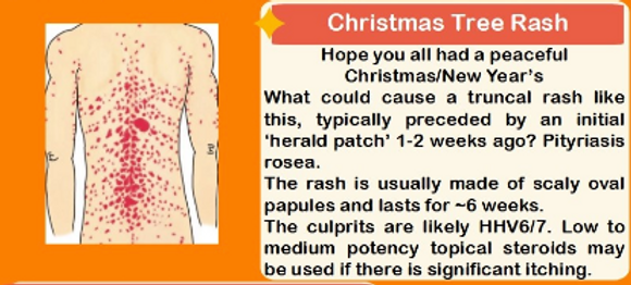 Christmas Tree Rash