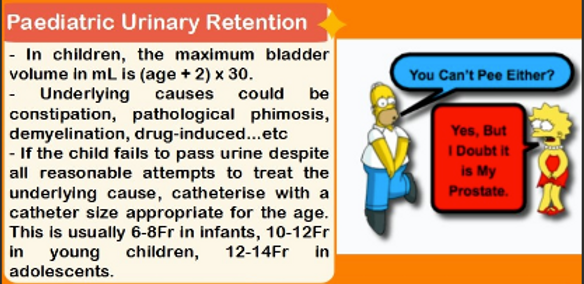 Paediatric Urinary Retention