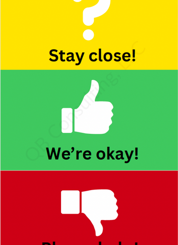 Behavior Flag Cards | Qb Consulting, LLC