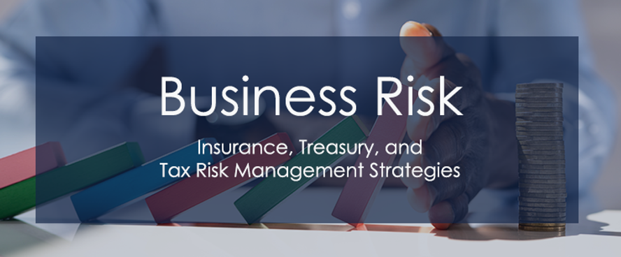Business Risk and Management Strategies