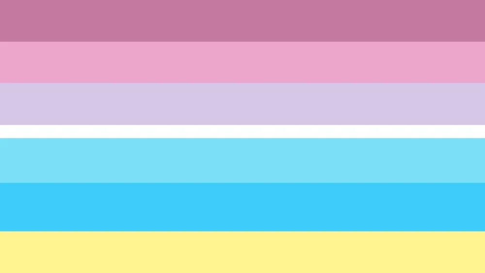 What does Bi-genderflux mean? | Himoon