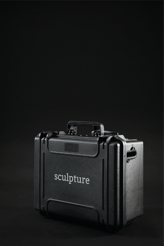 Sculpture Pro | Sculpture