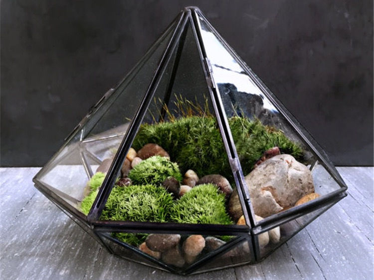 TERRARIUM CRAFTS : IT'S A SMALL WORLD 小さな世界